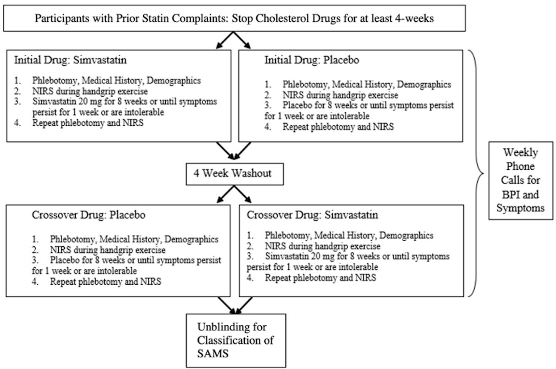 Skeletal muscle mitochondrial capacity in patients with statin ...