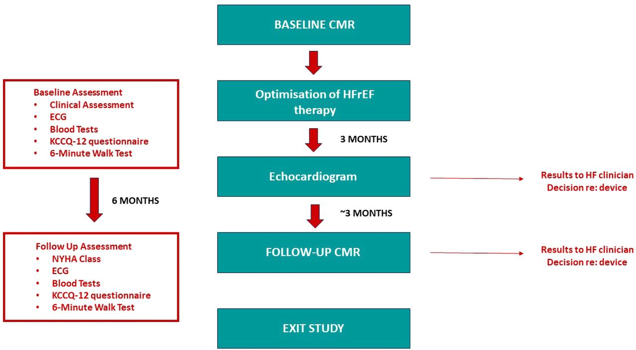 Effect of optimisation to contemporary HFrEF medical therapy with ...