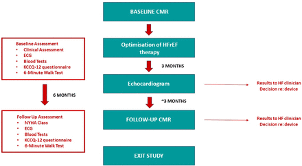Effect of optimisation to contemporary HFrEF medical therapy with ...