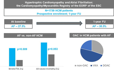 Hypertrophic cardiomyopathy and atrial fibrillation: the Cardiomyopathy ...