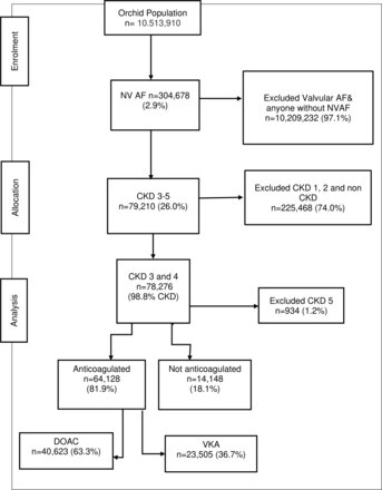Disparities in the care and direct-acting oral anticoagulant (DOAC ...