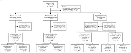 Emulation of ARISTOTLE and ROCKET AF trials in real-world atrial ...