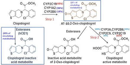 Phase 1 study of novel anti-platelet agent to overcome pharmacogenomic ...