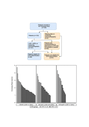 Prevalence and importance of coronary microvascular dysfunction in ...