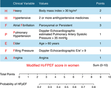 Incorporating angina into the H2FPEF score improves diagnostic ...