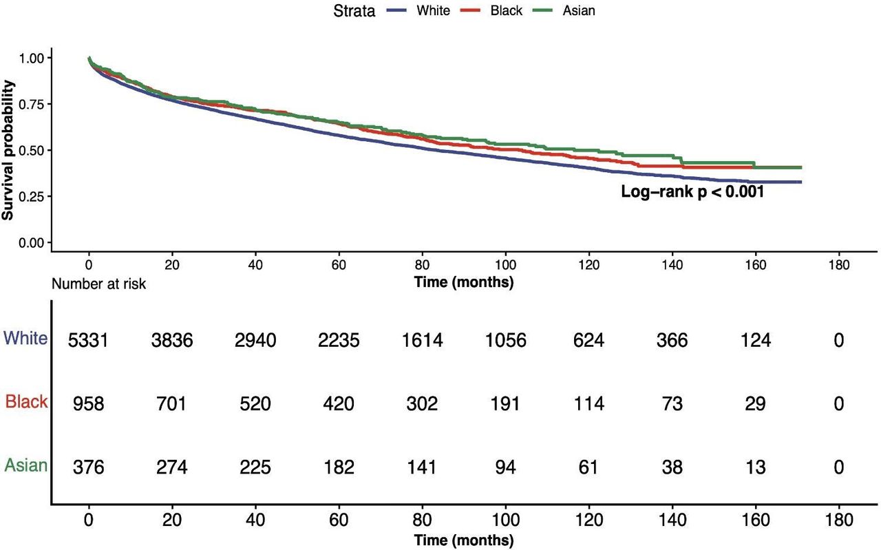 Racial trends in outcomes and access to treatment for mitral ...